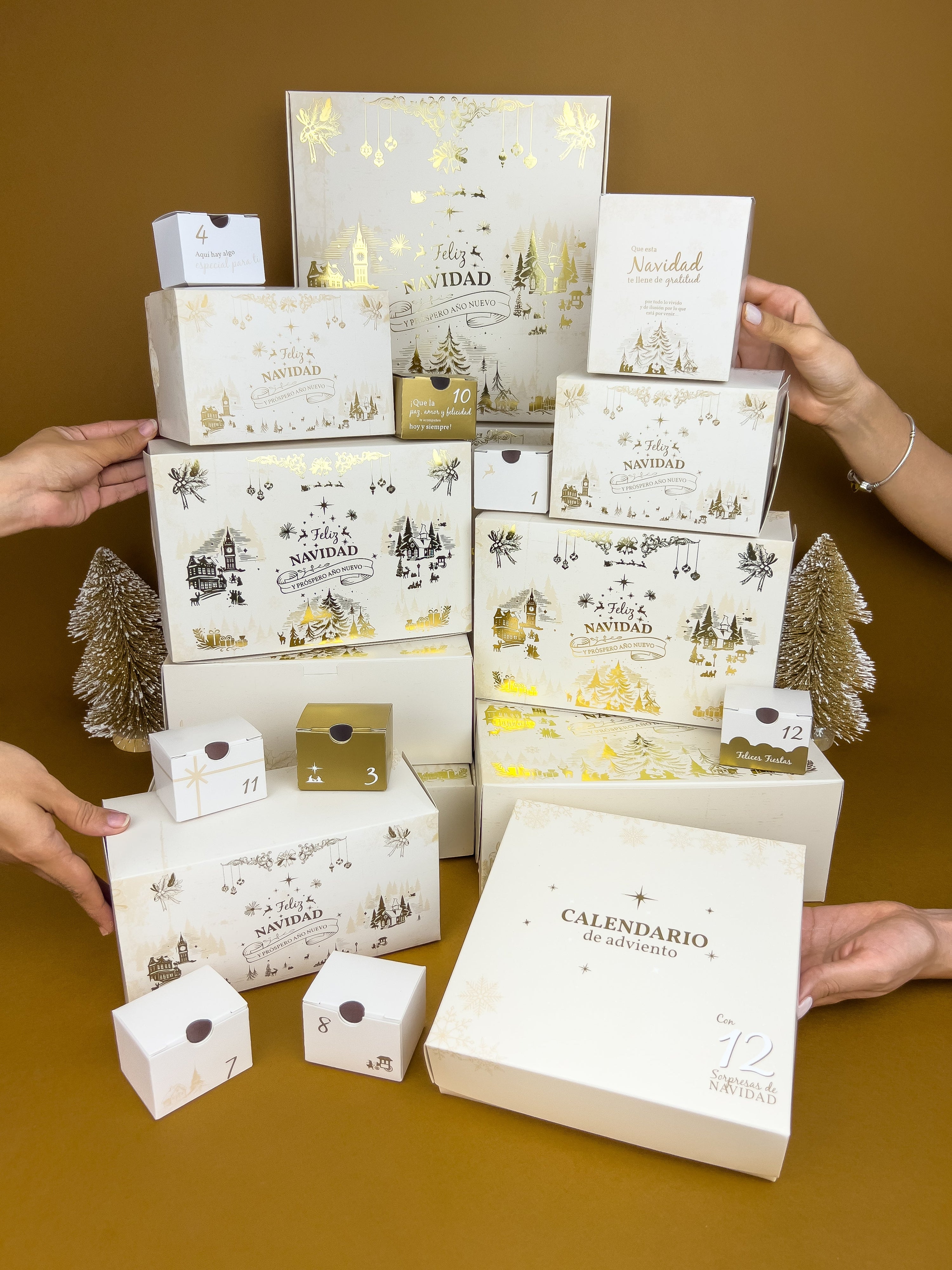 Cajas, Bolsas y Más Empaques Creativos para tu Negocio – WonderV Packing